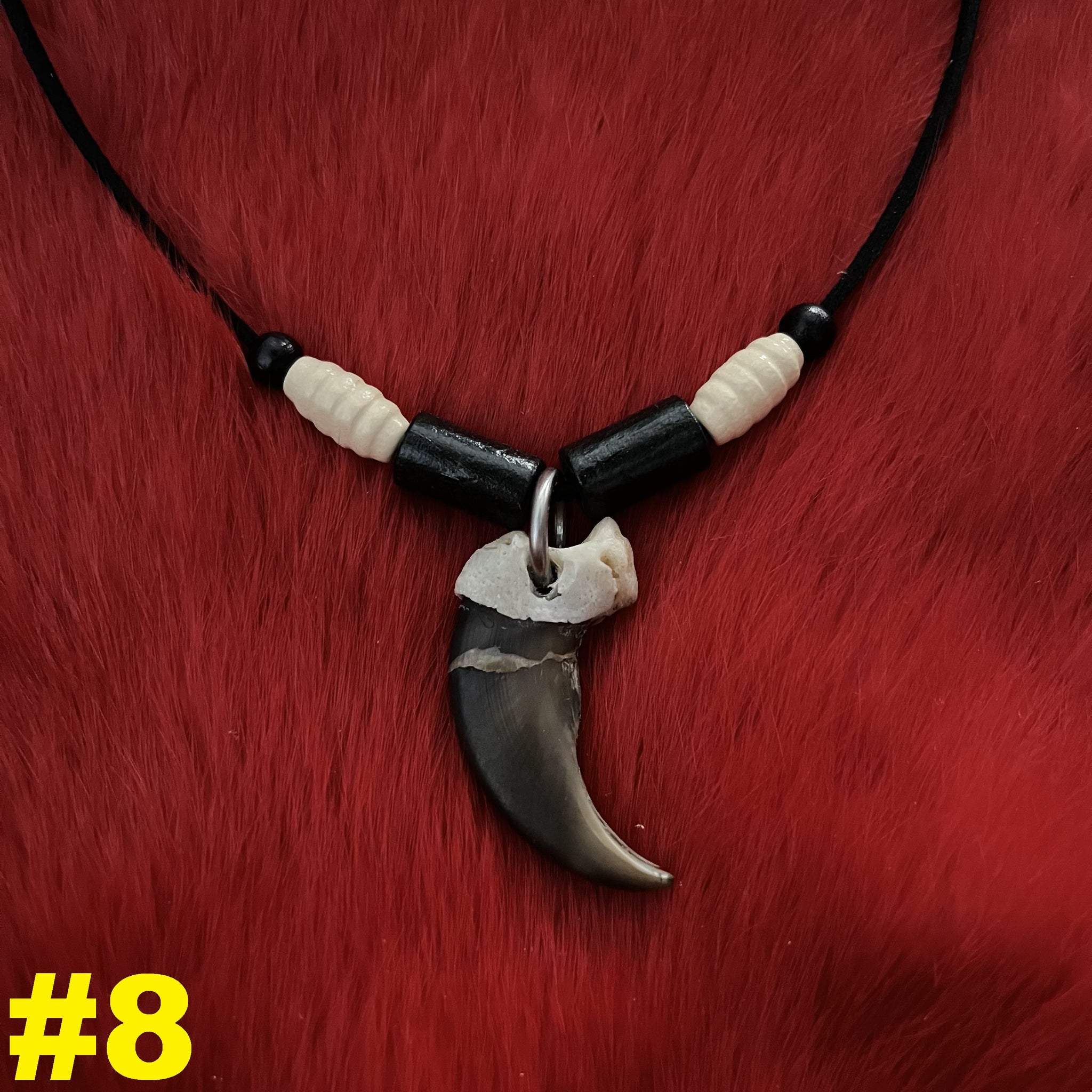 Bear Claw Necklace with Colored Beads – Medieval Fur