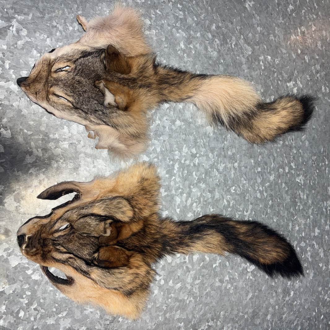 Wolf Furs & Pelts – Medieval Fur