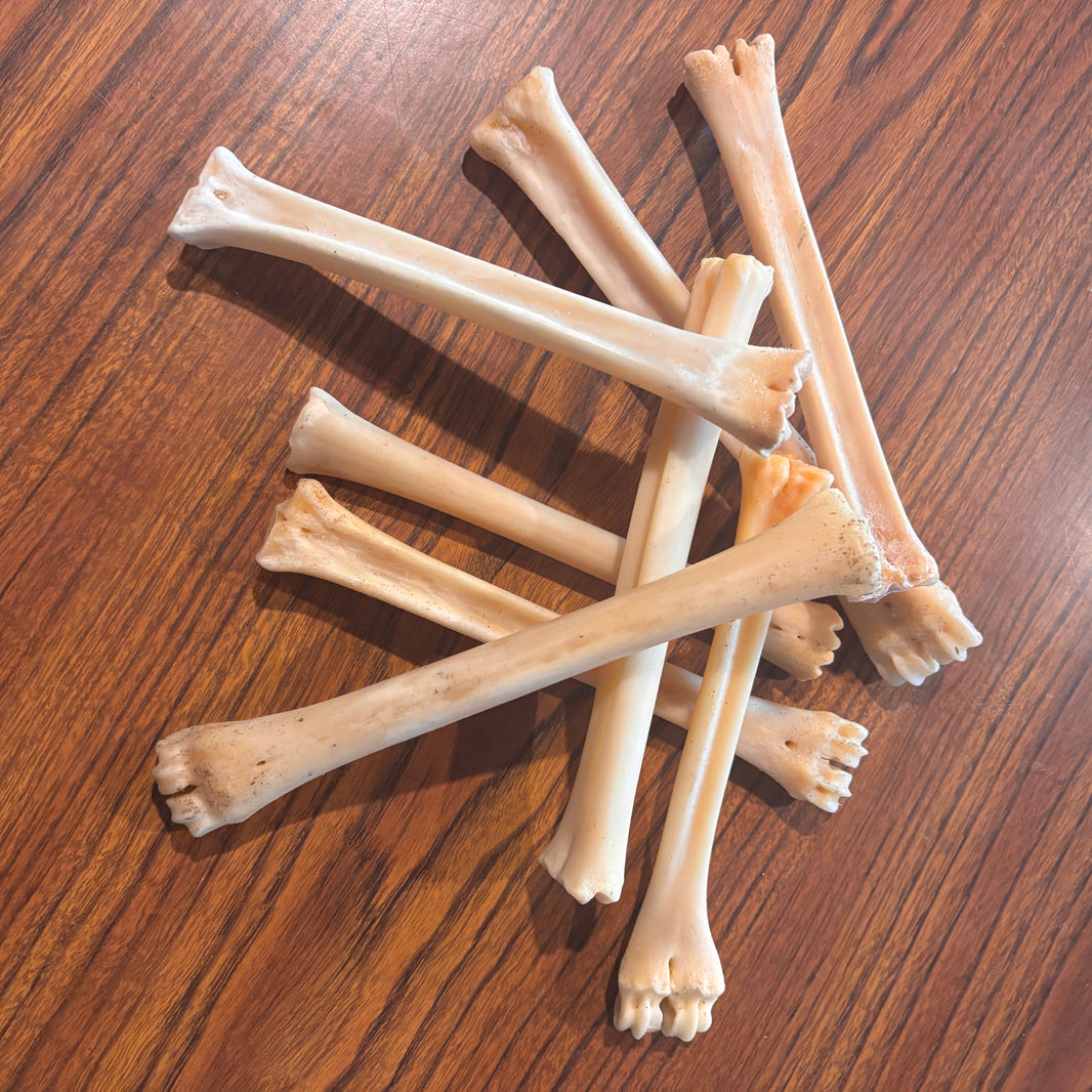 Authentic Deer Bones from Canada – Medieval Fur