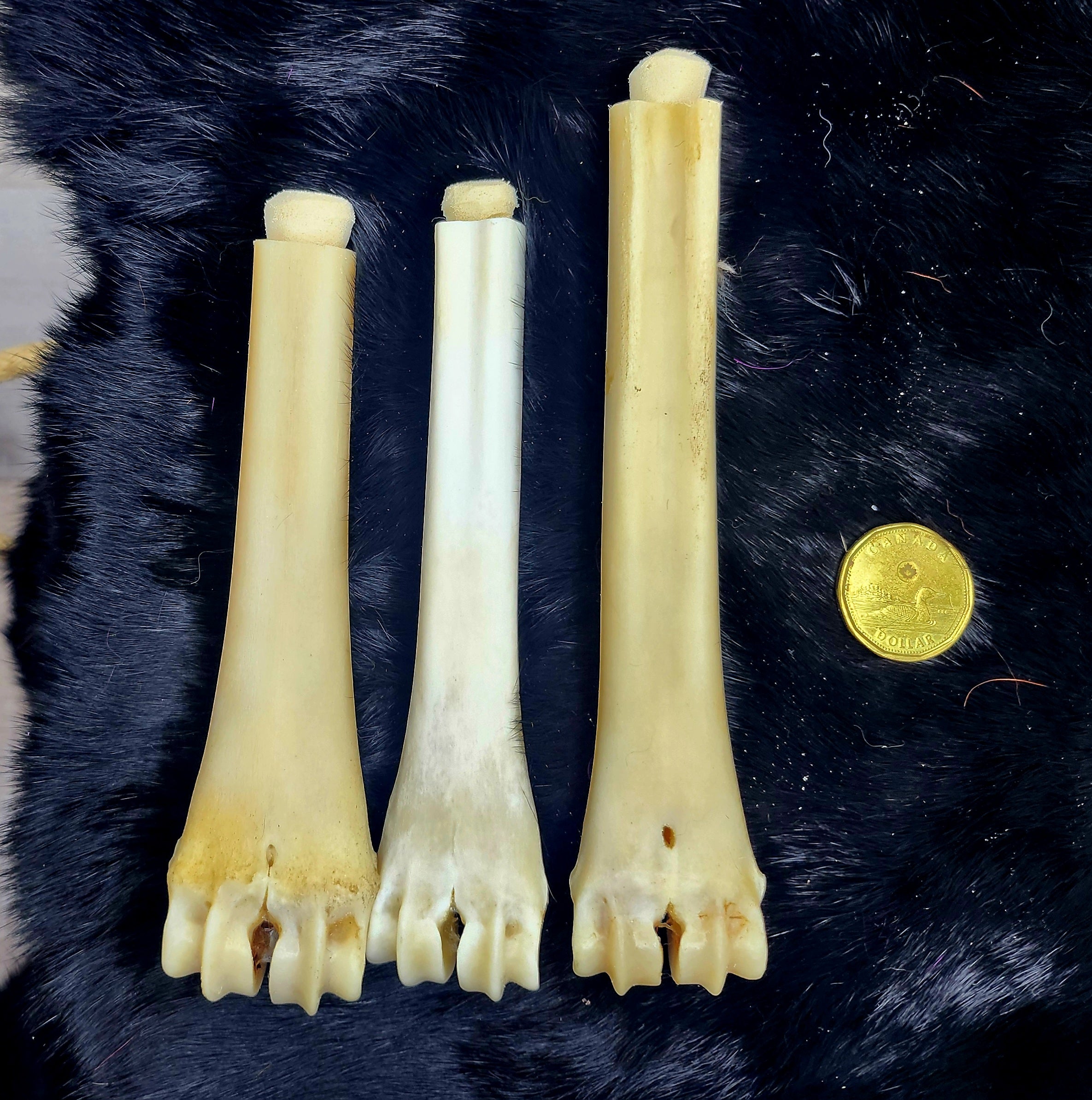Bone and Shell Vials – Medieval Fur