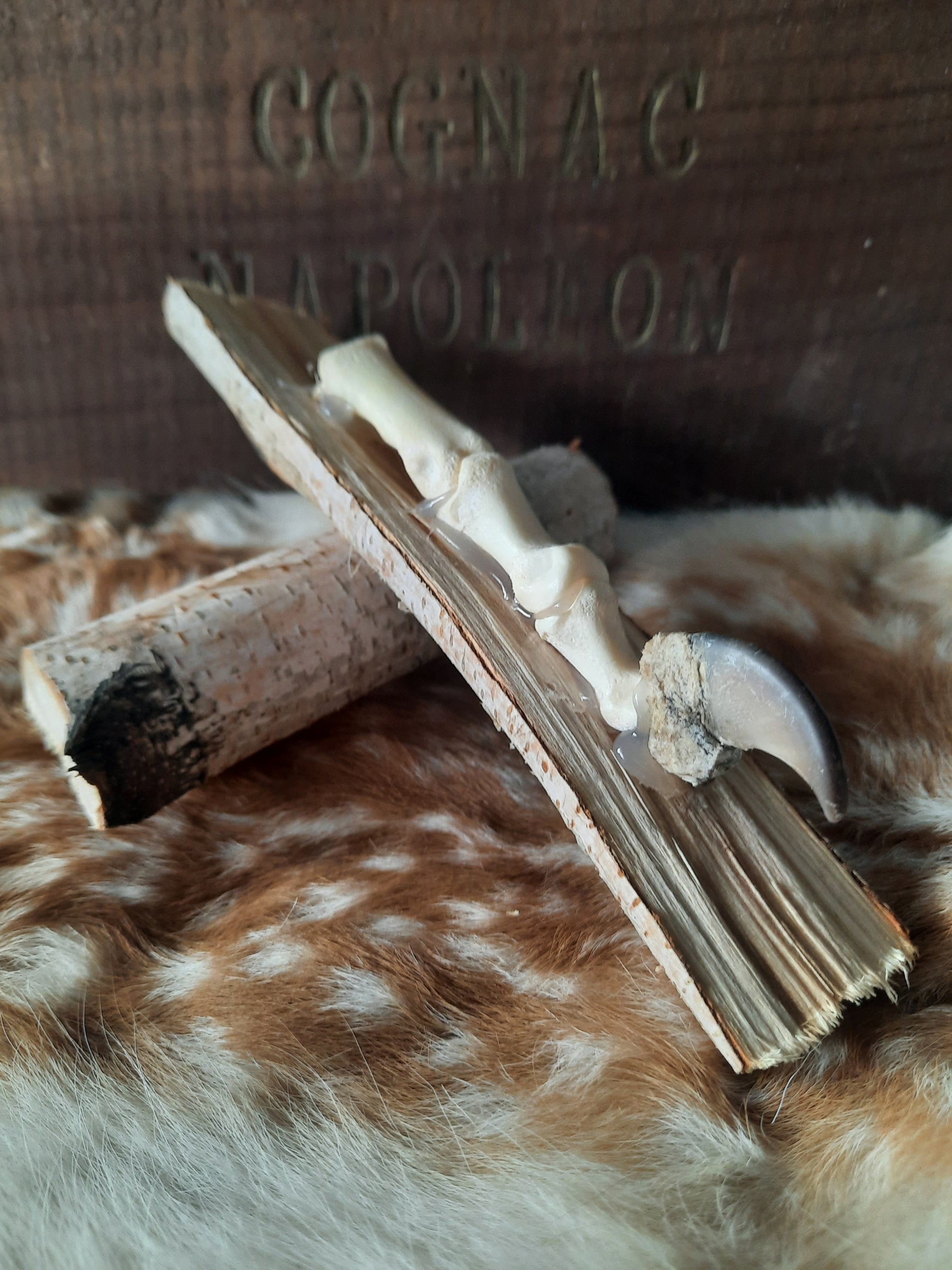 Bear Bones - Complete Finger with Claw – Medieval Fur