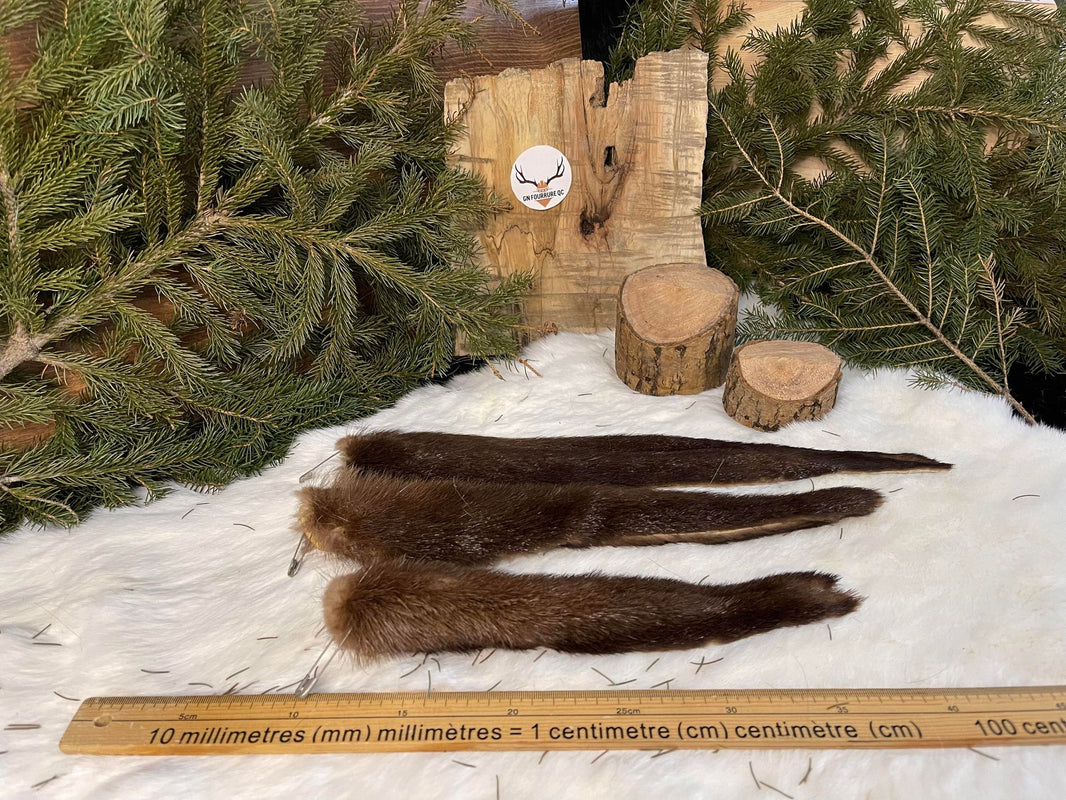 Real Animal Furs & Pelts from Canada – Medieval Fur