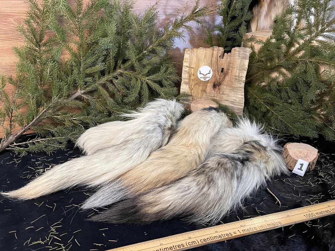 Wolf Furs & Pelts – Medieval Fur