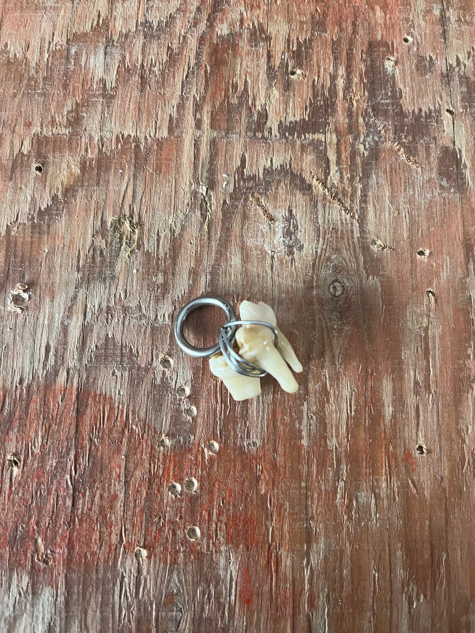 Black Bear Teeth – Medieval Fur