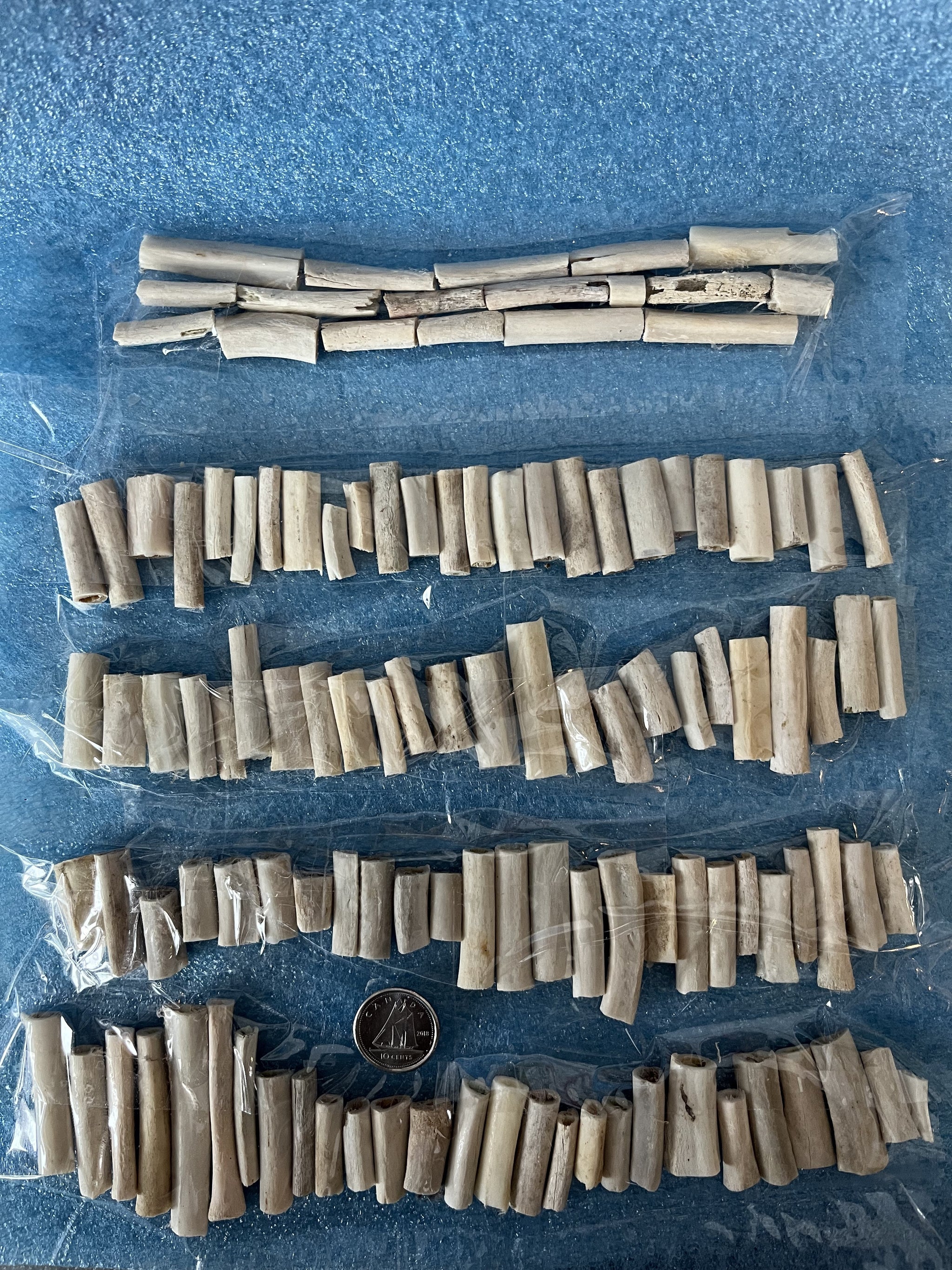 Bone Tubes – Medieval Fur