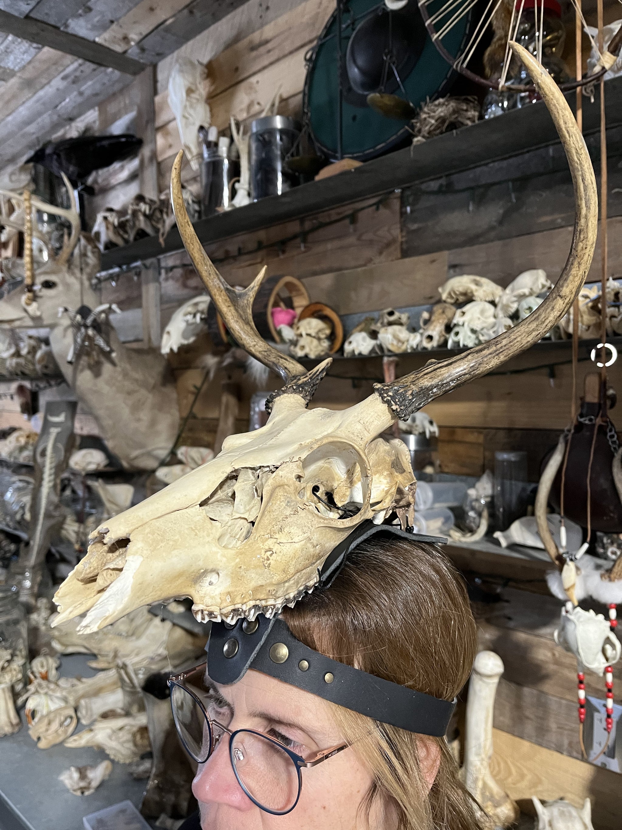 Deer Skull Mask with Antlers – Medieval Fur