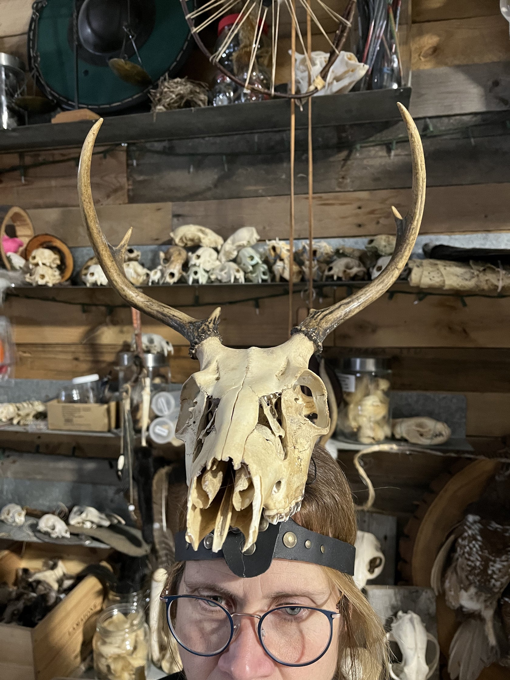 Deer Skull Mask with Antlers – Medieval Fur